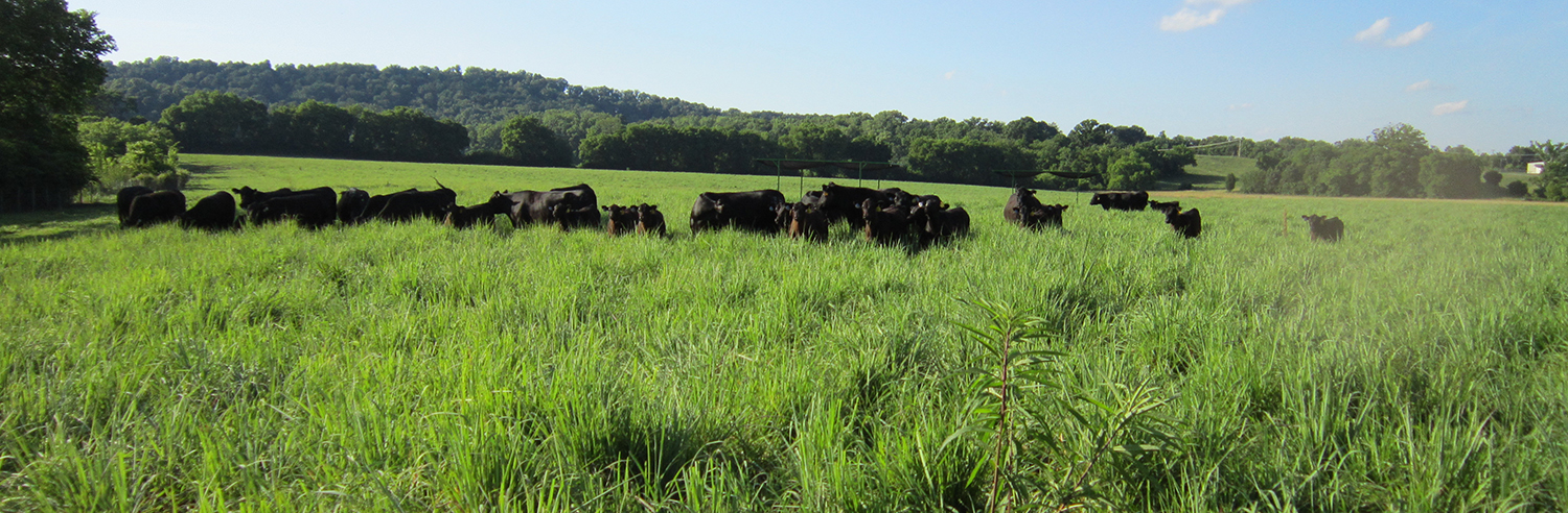 Grasslands Partnership | Grasslands Partnership